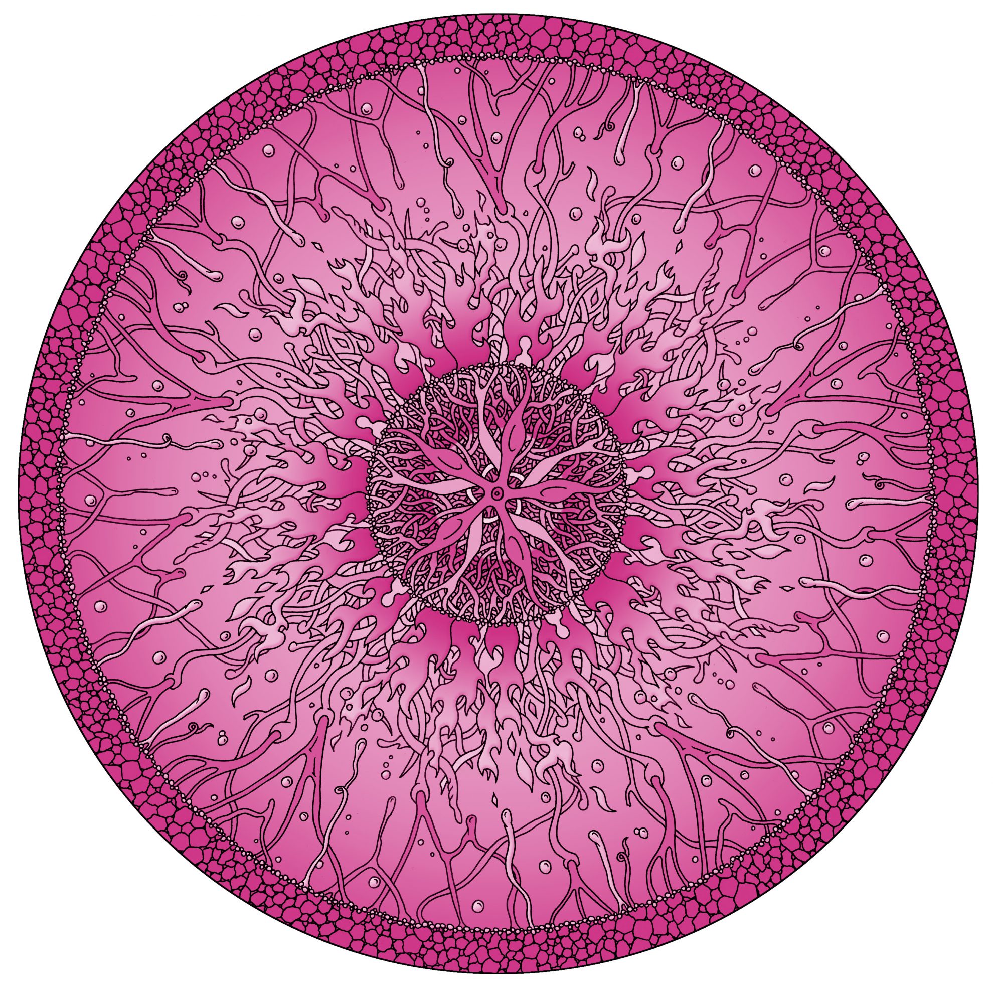 Element Core (For Sarah) (2006) – art.jeffco.ca